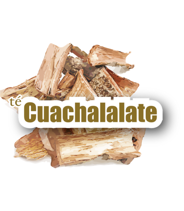 TÉ DE CUACHALALATE – Tés e Infusiones LA OFRENDA